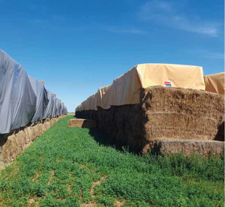 Fundas para fardos - AGRO - RAPPACHIANI | SOLUCIONES